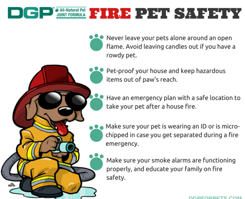 Fire Pet Safety Tips